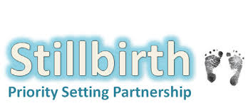 Shaping the Future of Stillbirth Research: the Stillbirth Priority ...